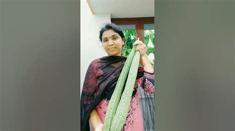 அட இந்த பொண்ணு எங்க போகுது 👍வாங்க எங்க வீட்டு தோட்ட காய்கறி அறுவடை🎑 Youtube