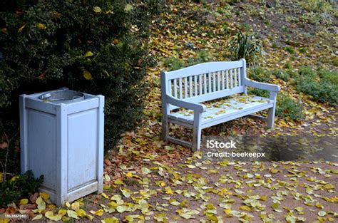 영국 식의 등받이가있는 골수 구조의 나무 역사적인 공원 벤치 베이지 색 자갈의 작은 표면으로 만든 휴식 장소와 경로에 공원에 서 나무 쓰레기 캔 가구에 대한 스톡 사진 및