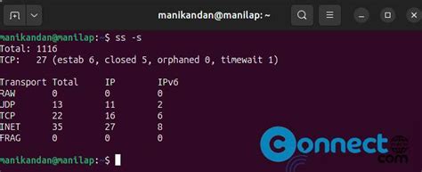 Monitor Network Connections Using SS Command Line Tool CONNECTwww