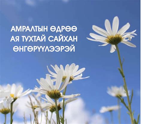 Хурд Өнөөдөр буюу хагассайн өдөр 16 00 цаг хүртэл ажиллаад дараагийн ачаа орж иртэл Монгол