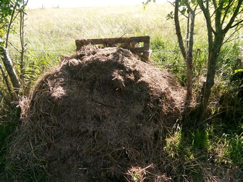 Rachel The Gardener Compost Pens Why I Ban The Cone