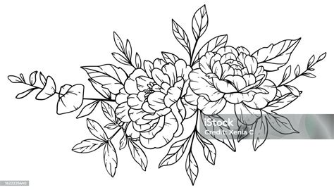 모란 라인 아트 가는 라인 모란 꽃다발 손으로 그린 그림 모란 꽃이 있는 색칠 공부 페이지 꽃 나무에 대한 스톡 벡터 아트 및 기타 이미지 Istock