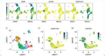 Developmental Analysis Of Spliceosomal SnRNA Isoform Expression With RNA Seq RNA Seq Blog