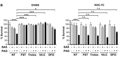 L Ascorbic Acid Calcium Dihydrate L Ascorbate Calcium Dihydrate