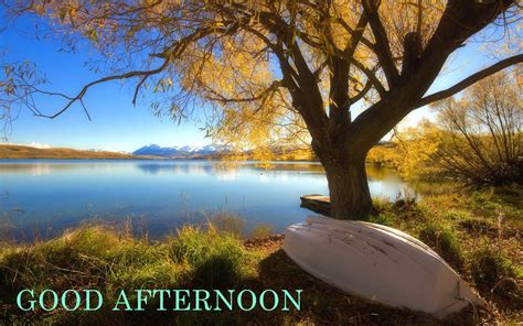 Nature Wallpaper With Afternoon