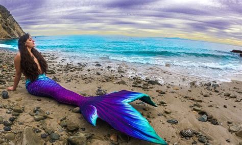 Catalina Island Mermaids Catalina Island Mermaids Groupon