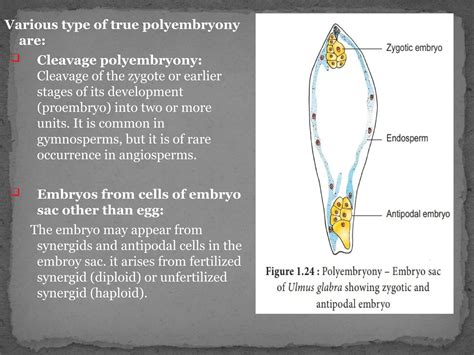 Polyembryony Its Types And Practical Importance Pptx