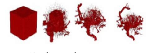 Figure 1 From Realization Of Aggregate Applications Using Dynamic