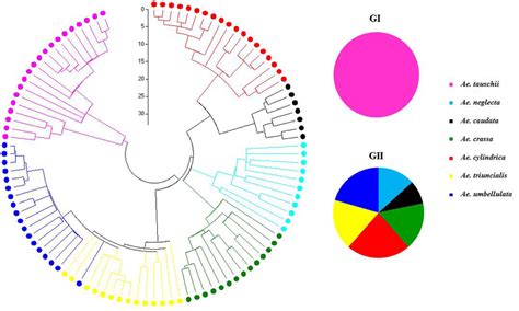 Dendrogram Rendered Using Jaccards Coefficients And Neighbor Joining