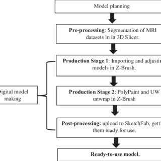 Development Workflow Download Scientific Diagram