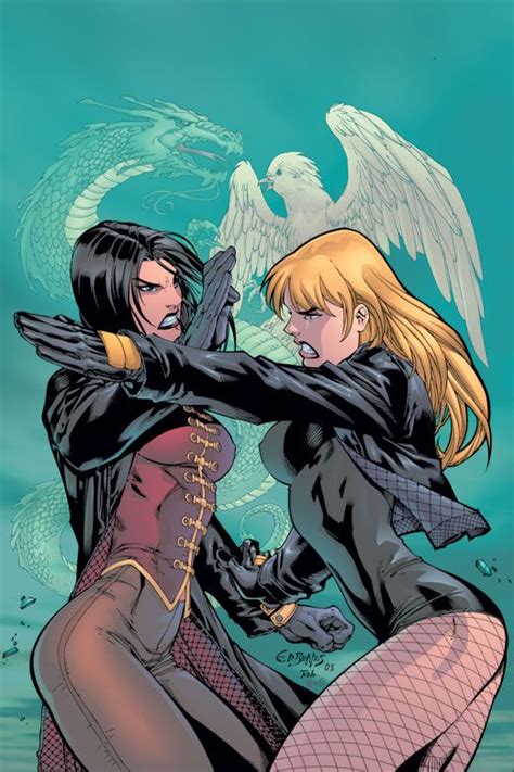 Cheshire And Black Canary Birds Of Prey 62 Cover By Ed Benes Black