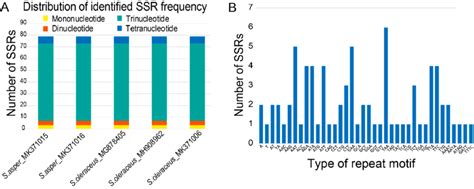 simple sequence repeat ssr number per distribution and repeat type of