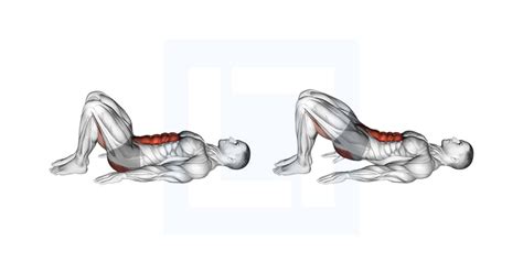 Pelvic Tilt Guide Benefits And Form