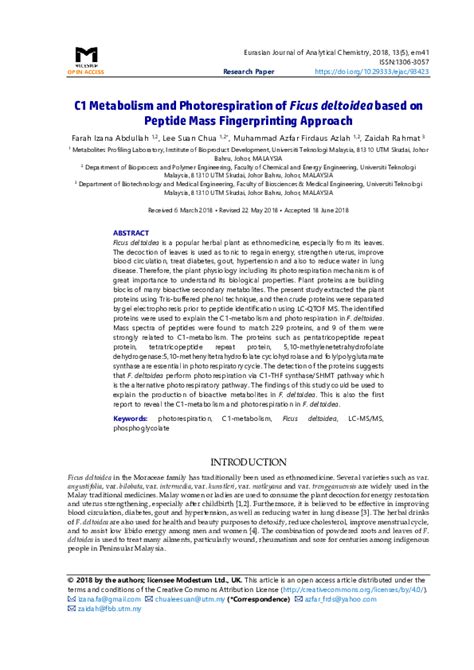 Pdf C1 Metabolism And Photorespiration Of Ficus Deltoidea Based On Peptide Mass Fingerprinting