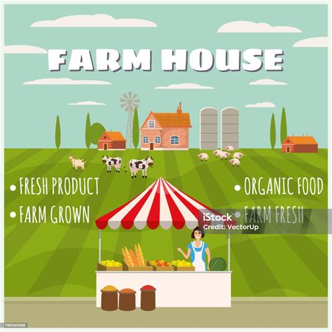 농장 농장 농부 여자 판매 수확 제품 식료품 에코 농장 유기 집과 농장 건물 벡터 절연 판지 스타일 포스터 배너 가격에 대한 스톡 벡터 아트 및 기타 이미지 Istock