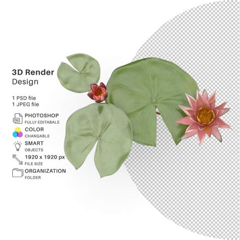 Premium Psd Water Lily 3d Modeling Psd File Realistic