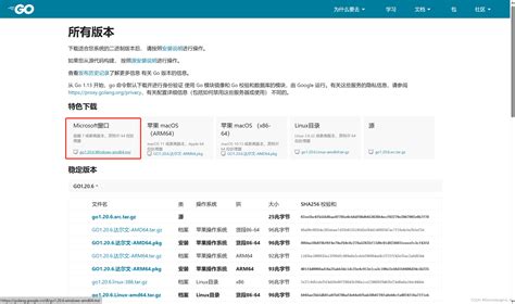 2023最新版Linux WSLUbuntu22 04 安装Go1 20 6 Win11安装Go1 20 6 GoLand2023