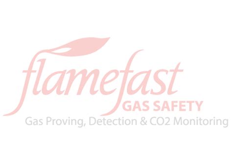 Gas Detector Fgd
