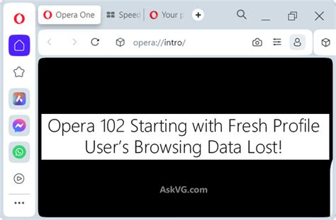 [fix] opera 102 deletes user browsing data and opens with blank profile