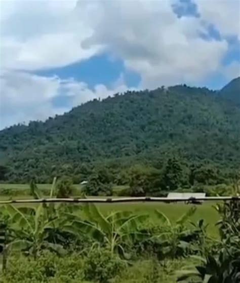 လုံဂျာတောင်ပေါ် အလုပ်သွားသည့် အဘိုးအိုတစ်ဦး ပျောက်ဆုံးနေ သံလွင်ခက်