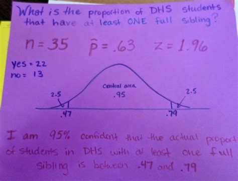 Statistics Confidence Interval Projects Math Love