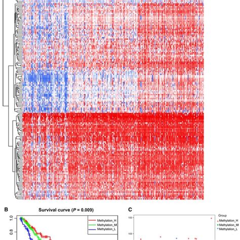 Identification Of Three Methylation Clusters Of Cc With Distinct