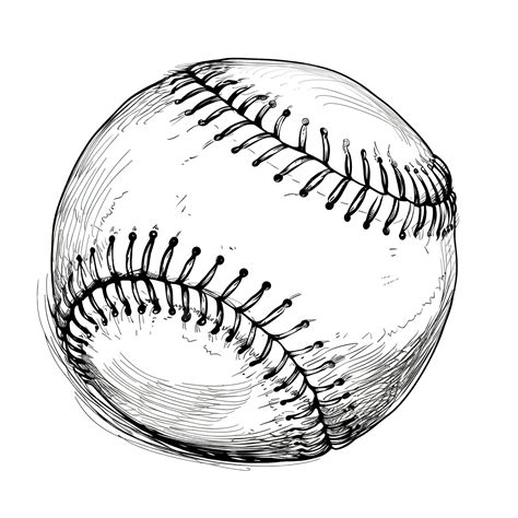 Line Art Baseball Illustration Vector Baseball Sports Team Png