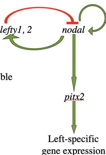 Quiz Flashcards Quizlet
