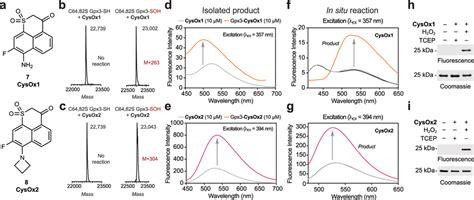 Cysox1 And Cysox2 Are Reaction Based Fluorogenic Probes For Sulfenic