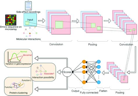 A Convolutional Neural Network This Neural Network Is Comprised Of An