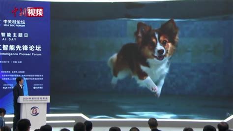 对标sora 首个国产自研视频大模型vidu发布 Youtube