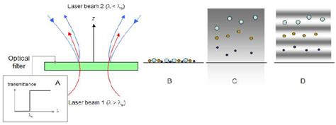 Schematic Description Of The Proposed Optical Sorting Geometry That