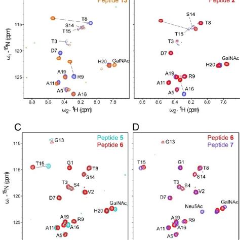 Scheme 2 Synthesis Of Glycopeptides 11 And 12 Carrying A Download Scientific Diagram