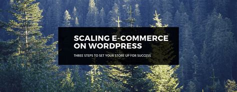 How To Build A Scalable E Commerce Store With WordPress In 3 Steps Pagely