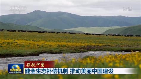 领航中国丨健全生态补偿机制 推动美丽中国建设 新闻频道 央视网 cctv
