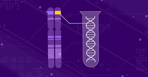 Brca1 And Brca2 Gene Mutations I Have A Mutation What Are My Options