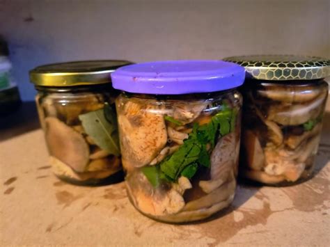 Мариновани Гъби Рижики в Буркан Борис Андонов