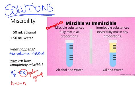 Molar Concentration And Miscibility Ethanol And Water 381b Studocu
