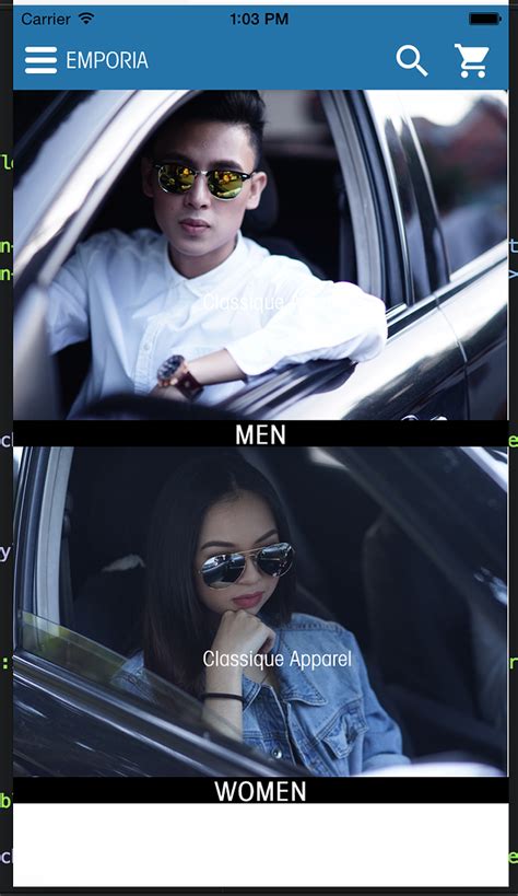 Ionic Slider Full Screen Ionic V1 Ionic Forum