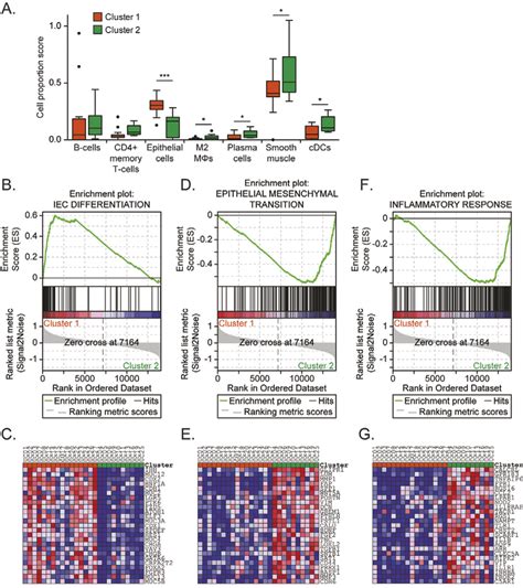 The Cell Composition And Molecular Signatures Of Uc Subsets Are Download Scientific Diagram