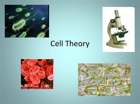 PPT Cell Theory PowerPoint Presentation Free Download ID 2684385