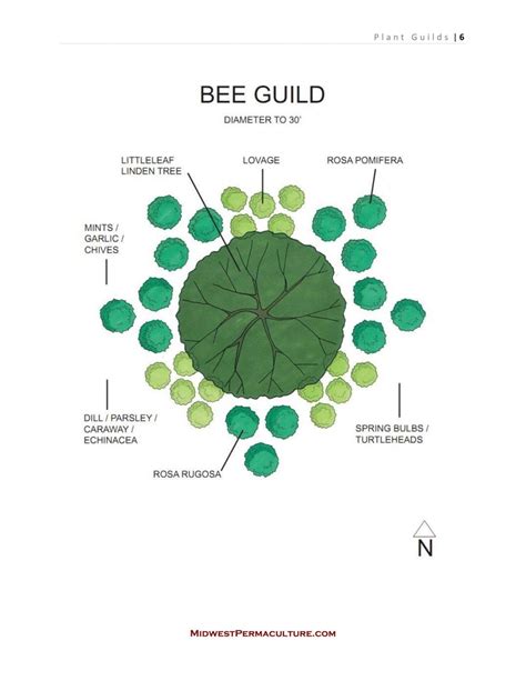 Plant Guilds Midwest Permaculture