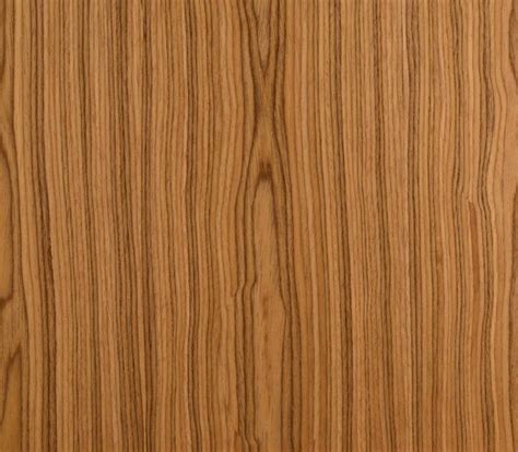 Forestree Reconstituted Friendly Forest All Colors And Species