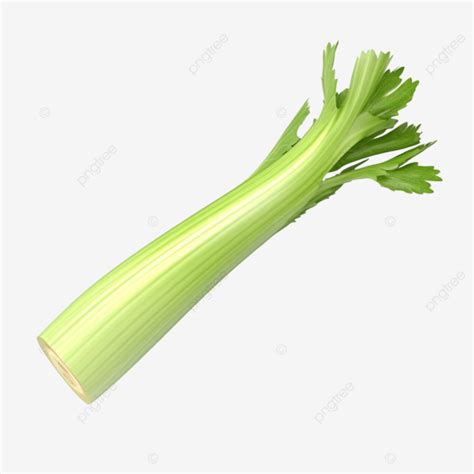 3d Randering Of A Fresh Celery Isolated Celery Leaf Green Png