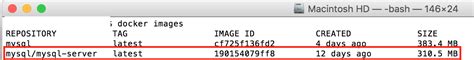 docker 启动MYSQL 通俗易懂 腾讯云开发者社区 腾讯云