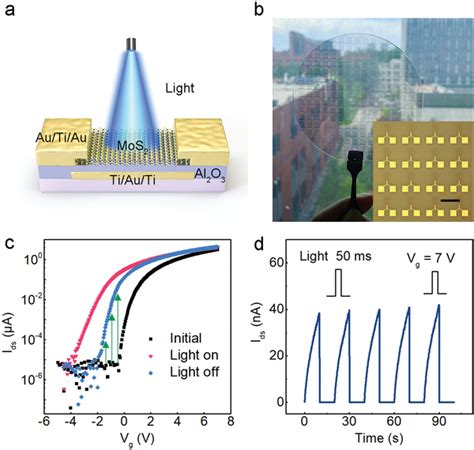 Mos2 Field Effect Transistor For Next Generation Label Free Biosensors At Ava Ewers Blog