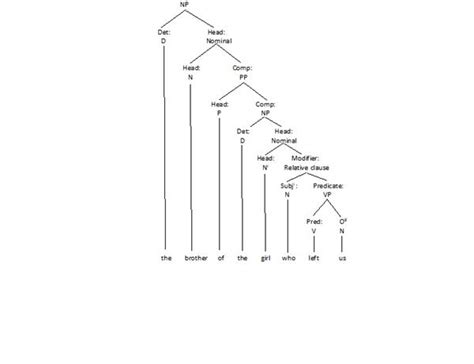 Tree Diagram Linguistics Examples