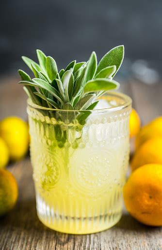 소박한 배경에 진 기반의 달콤한 구식 칵테일 만다린 주스와 세이지 잎 각얼음에 대한 스톡 사진 및 기타 이미지 각얼음 감귤 검은색 Istock