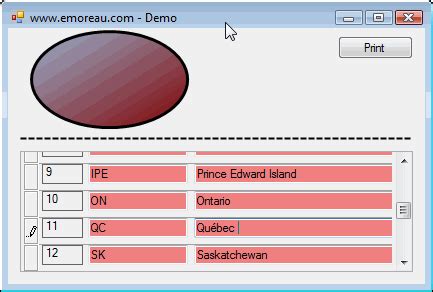 Visual Basic Power Pack Shape Bounding Box Holoseruniversity