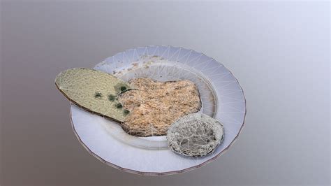 Platos Sucios Con Comida En Mal Estado Modelo 3d 12 Fbx Obj Free3d